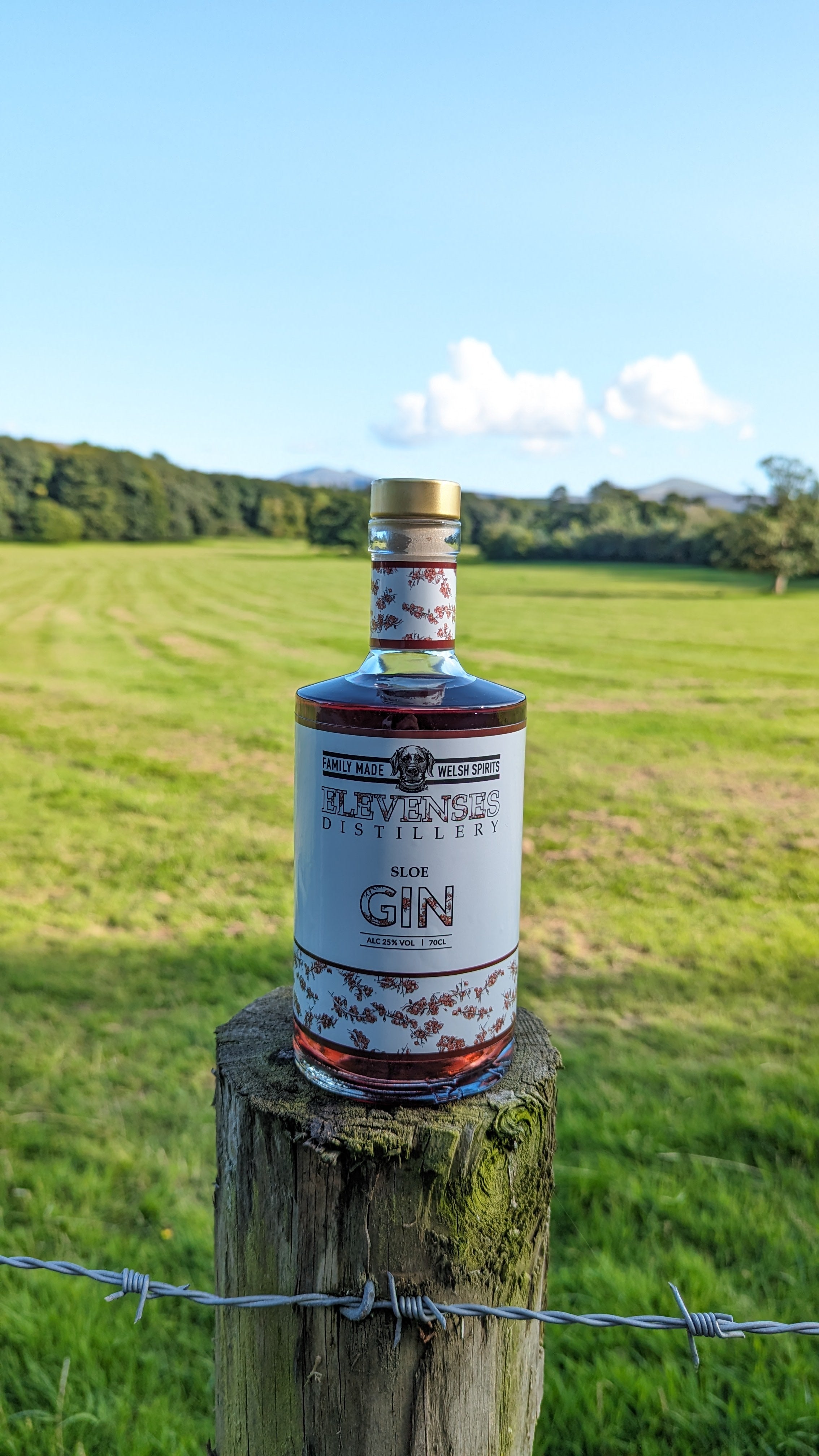 Sloe Gin – Elevenses Distillery